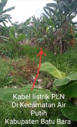 Awas Kabel Listrik PLN Di Kecamatan Air Putih Kabupaten Batu Bara, Siap ...